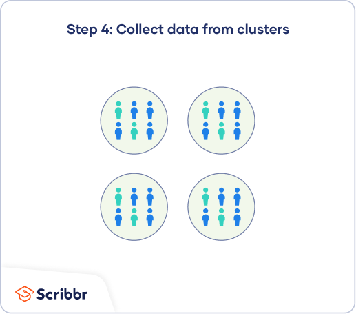 Cluster Sampling | A Simple Step-by-Step Guide with Examples
