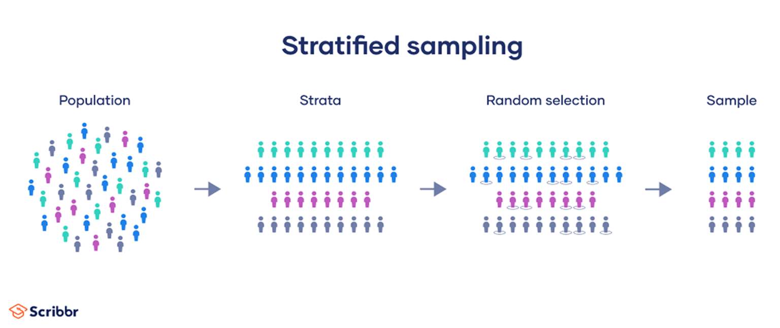 Stratified Sampling | Definition, Guide & Examples