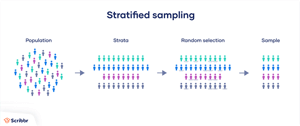 Stratified Sampling | Definition, Guide & Examples